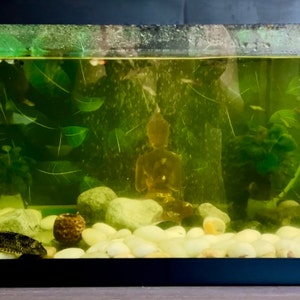 Brown Rock / Stone Aquarium Background Rocky Fish Tank - Etsy