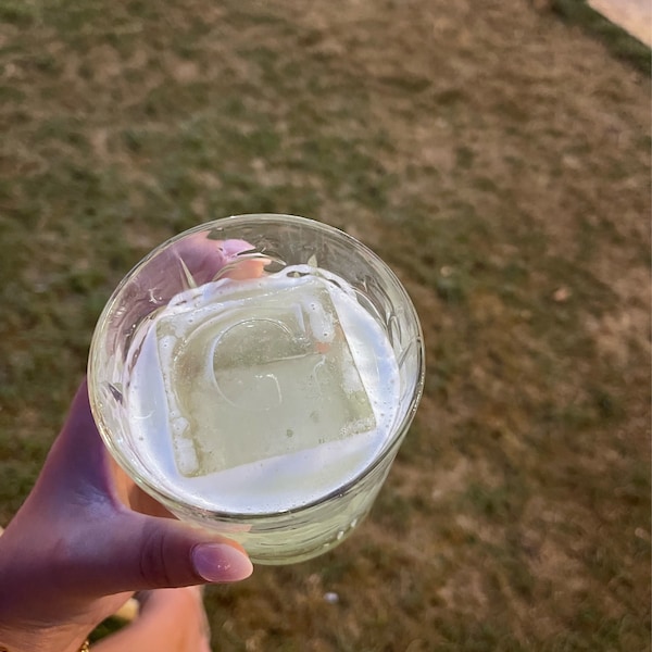 Custom Ice Plate, Business Logo Ice Cube Stamp for Bar, Personalize Ice ...