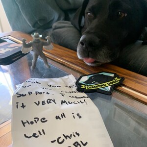 Diamond Dogs PVC Patch From Metal Gear Solid V the Phantom Pain - Etsy