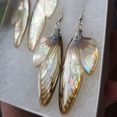 Extra Large Cicada Wing Fairy Earrings Real Insect Wing - Etsy