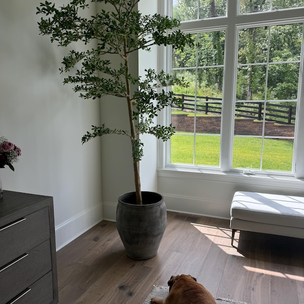 8' Shady Lady Black Olive Tree, Black Olive Tree, Shady Lady Tree, Faux ...
