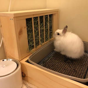 Large Hop Box: Rabbit Bunny Hay Feeder and Litter Pan Combo, Sifting ...