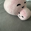 Slugcat Saint Rain World: Downpour 15,7 Inch (40 Cm) Plush Toy - Etsy