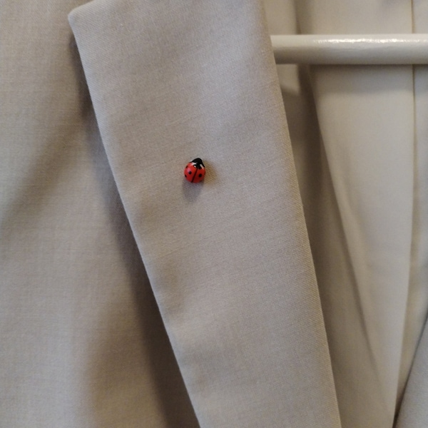 Ladybug Pin: Handmade Polymer Clay Ladybird Brooch - Etsy