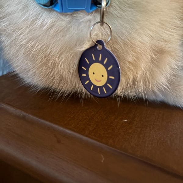 Golden Retriever Address Sign, Hanging Address Sign, Metal Home Address ...