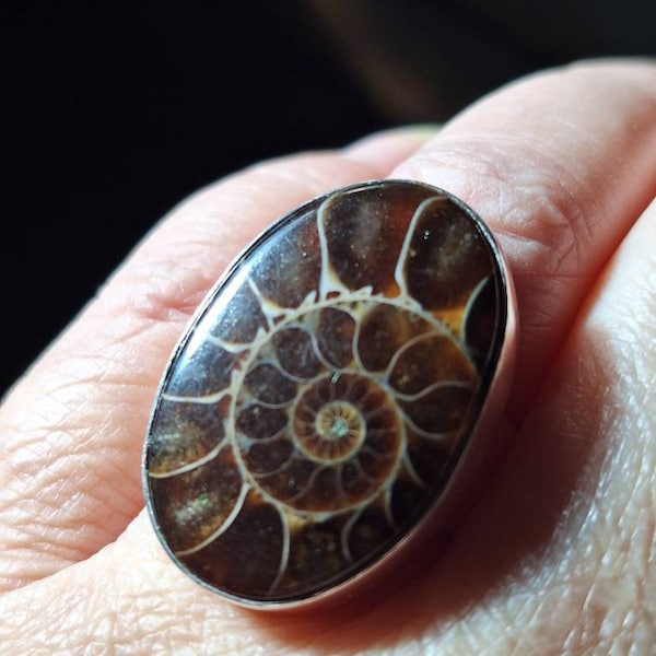 Ammonite Fossil Gemstone Silver Ring, Sterling Silver Ring, Fossilized ...