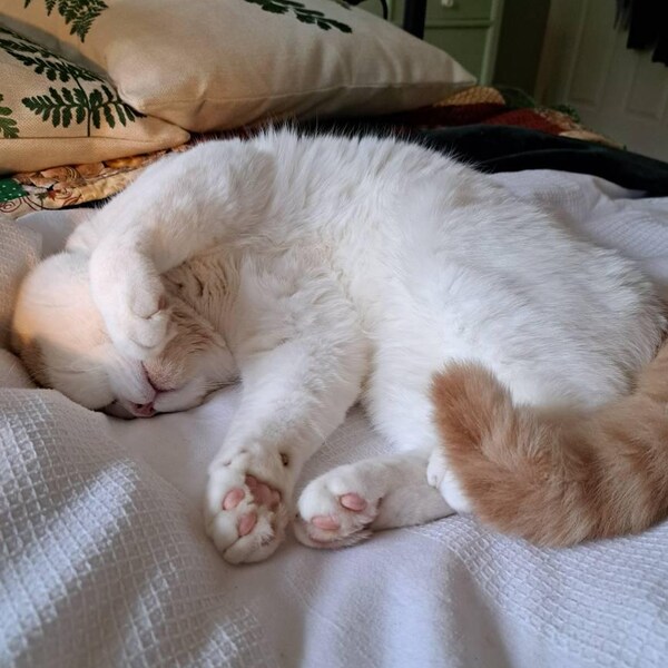 Mobius/ Infinity Loop Crochet Fidget Toy. Pick Your Own Colour and ...