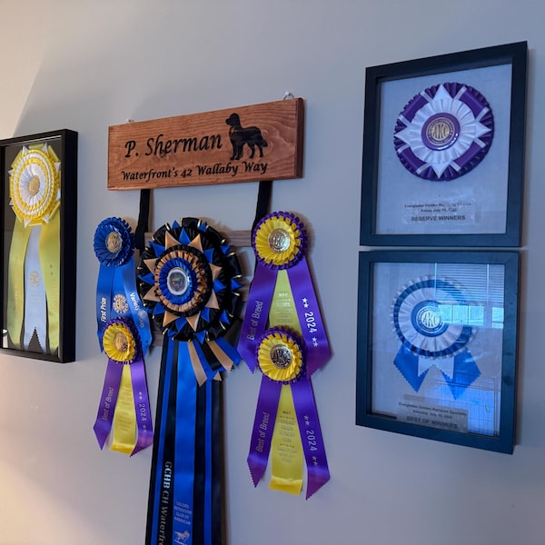 Custom Ribbon Display, Dog Award Ribbon Display Rack, Dog Rosette ...