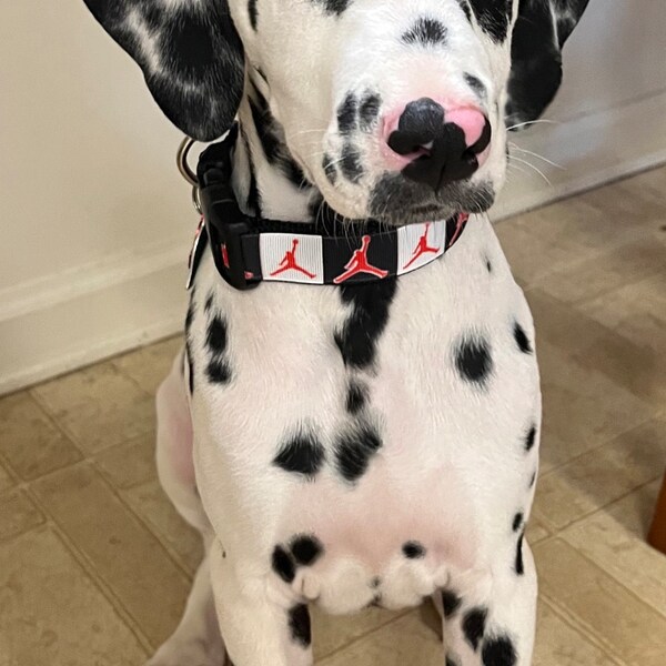 Sports 1 Inch Width Dog Collar - Etsy