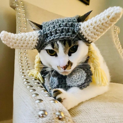 Brunhilde, Vikings, Valkyries, Wagner Opera, Hats for Cats, Pet Hats ...