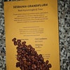 FALSE SUNFLOWER Seeds FREE Shipping Fresh & Organic Heliopsis Scabra ...