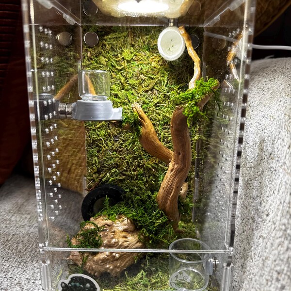 Clown Fish Nemo Themed Top Opening Hinged Jumping Spider Sling ...