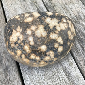 Heart Shaped Beach Rocks Lake Erie Set of 8 - Etsy