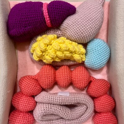 Digestive System Crochet English Ebook - Etsy