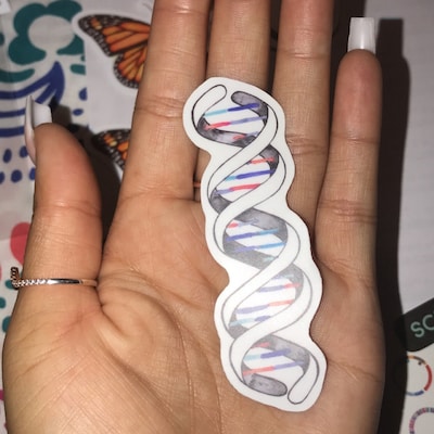 DNA Sticker Stickers Sticker Laptop Stickers Planner Vinyl - Etsy