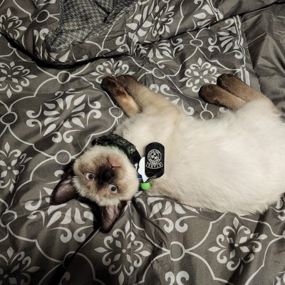 The Legend of Zelda triforce Custom Engraved LED - Etsy