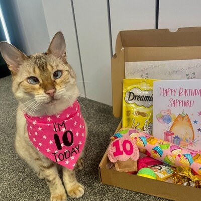 Personalised Cat Birthday Gift Box, Gotcha Day Presents, Pet ...