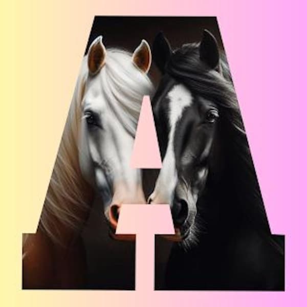 Sun Canva Frames Drag and Drop Summer Sun Canva Templates Summer PNG ...