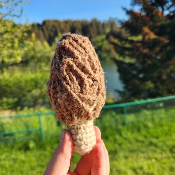 Morel Mushrooms Crochet Pattern - PDF - English - Etsy
