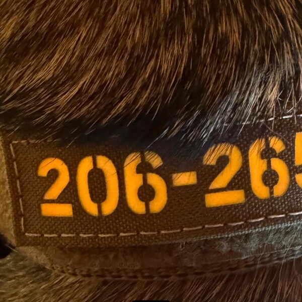 Union Jack Flag With Three Text Lines Custom Your Own Text Lasercut Patch Customized IR Combat ...