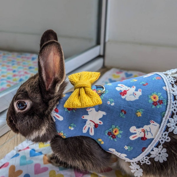 Autumn Ginkgo Wool Short Dress, Pet Bunny Dress/harness, Rabbit ...