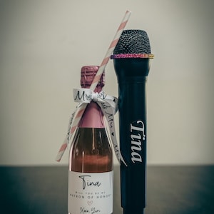 Lover Hearts Valentine Prop Microphone Taylor Eras Tour Swift Concert ...