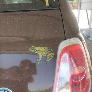 Frog Sticker Waterproof Decal - Etsy