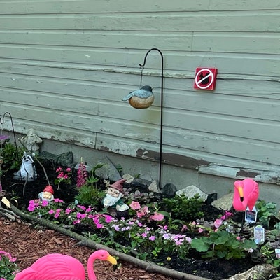 No Squirrels Allowed No Entry Garden Sign Weathered Yard Signage, Shore ...