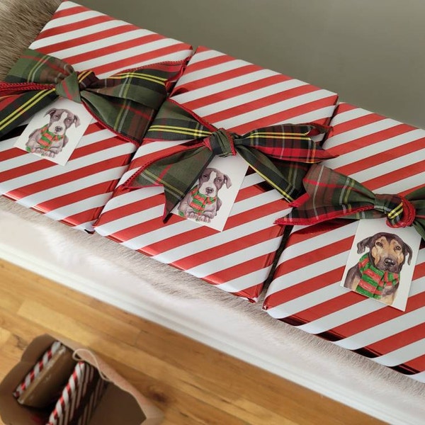 Napping Red Panda Birthday Card - Etsy