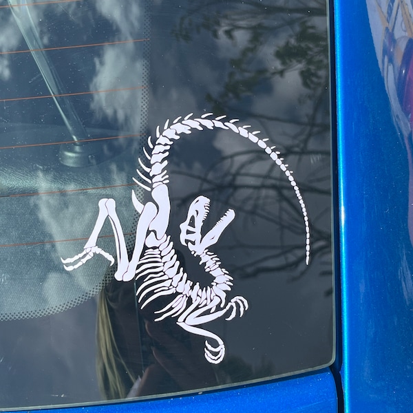 Raptor or Stegosaurus Skeleton Car Decal - Etsy