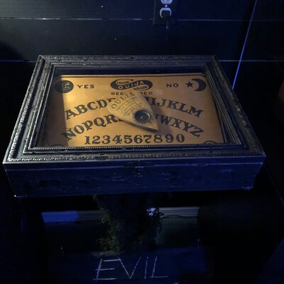 10 Pieces of Small Natural Raw Wood Disc Slices With Bark, Averages ...