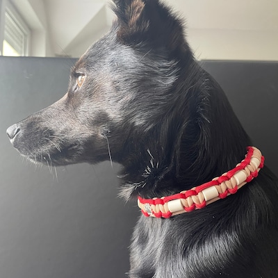 EM Ceramic Collar Made to Measure With Choice of Color - Etsy