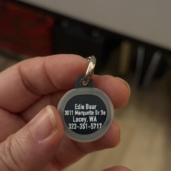 Custom Dog Name Tags Double Sided, Durable Dog Tag for Collar, Sassy ...
