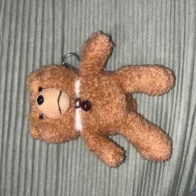 Teddy Bear Airpods 1, 2 Pro Case Cute Airpods Covers Earbud Protectors - Etsy