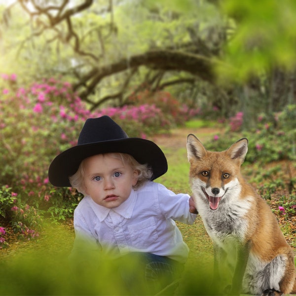 Fox Pals- 14 Digital Fox PNG Overlays Digital Props for Creative ...