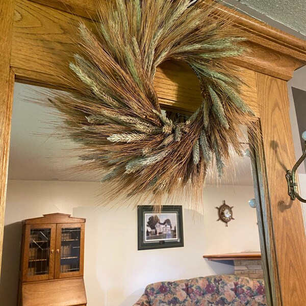 16" Light Pink Billy Buttons, Pink Dried Craspedia, Pink Billy Balls ...