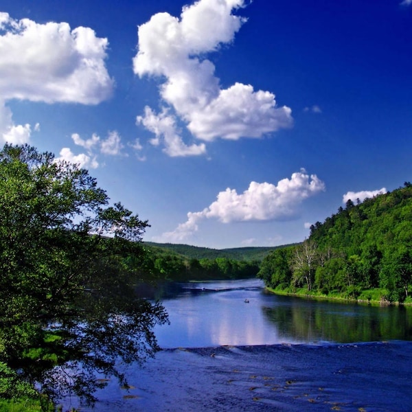 Tea Leaf Oracle Card Deck With Guidebook | 51 Tarot-sized Cards ...