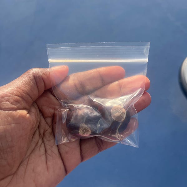 Espanta Muerto Seeds | False Daisy | Eclipta Prostata | Eclipta Alba ...