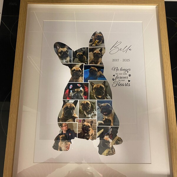 Cocker Spaniel Photo Collage Print, Personalised Pet Lover Gift, Pet ...