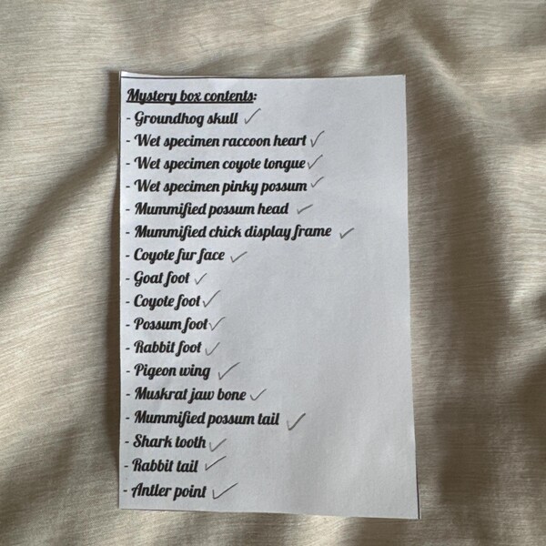 Freeze Dried Yak Feet for One Taxidermy Yak, Deer Antlers, Taxidermy ...