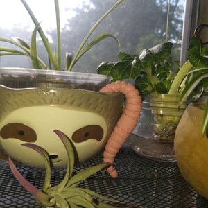 Worm Magnet, Polymer Clay Magnet, Pink Worm - Etsy