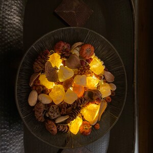 Himalayan Salt Ceiling Panel Light Wall Sconce PLEASE READ Description ...