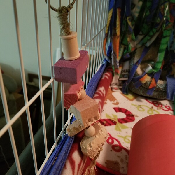 Fruity Balsa Kabob- Fruit Flavored Chew Toys for Rabbits, Guinea Pigs ...