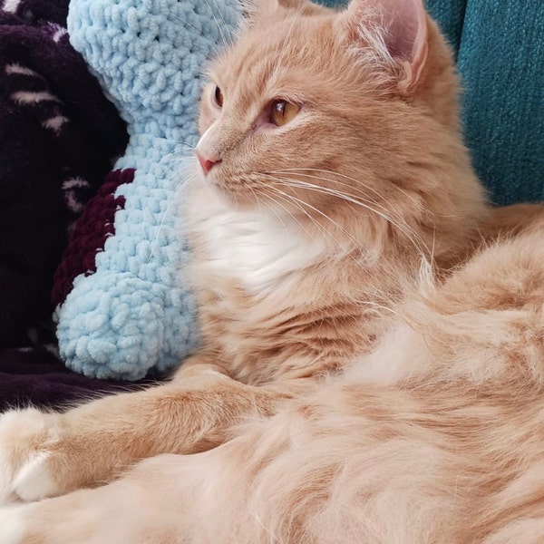 The Riley Blanket Basketweave Crochet Blanket Sage Green - Etsy