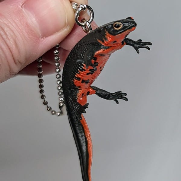 Lion Fish Honeybush Rooibos Tea Bag - Ocean Teabag - Etsy