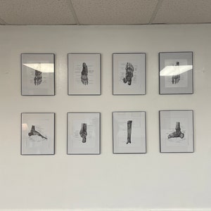 Human Anatomy Art Skeletal Bones Posters Medical Art Doctor - Etsy