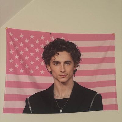 Original Austin Butler Pink Wall Tapestry American Flag - Etsy