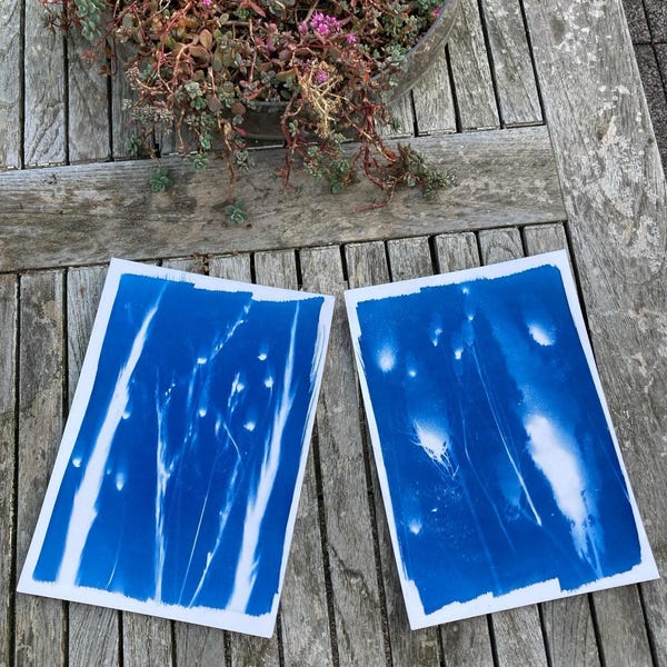 Complete DIY Cyanotype Kit for Sun Printing - Includes Pre-prepared ...