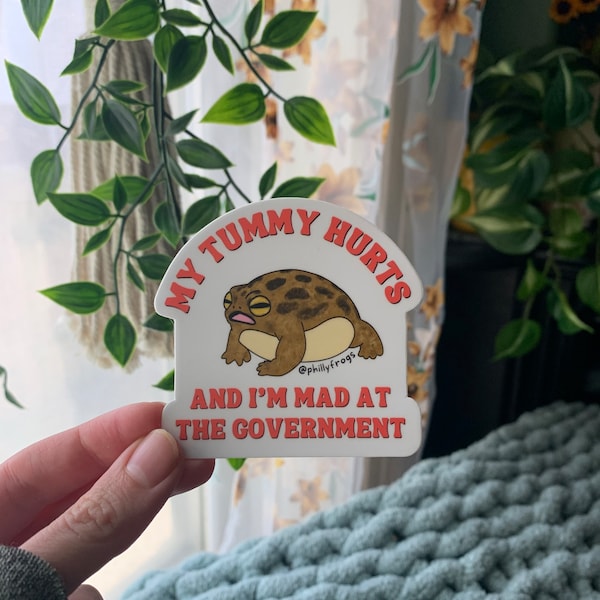 My Tummy Hurts and I’m Mad at the Government - Screaming Desert Rain ...