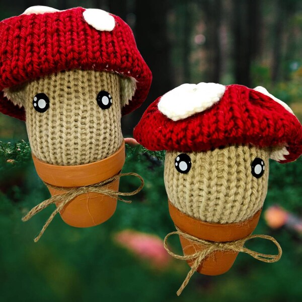 The Original Chelsea Cactus, Addi Professional, Sentro 22 Pin Circular ...